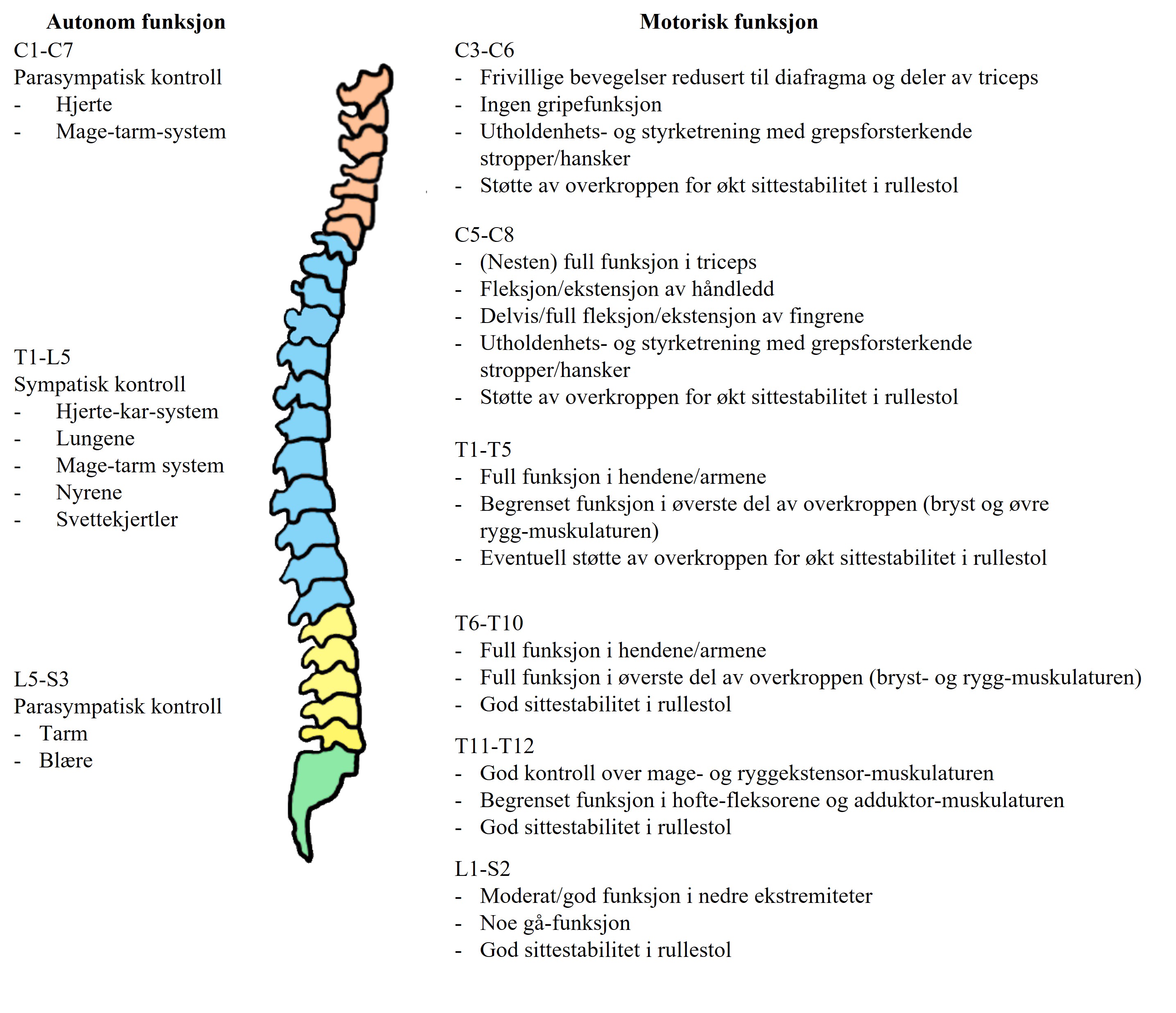 Trening for utøvere med Ryggmargsskade/Spina Bifida
